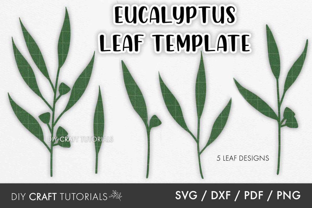 Eucalyptus Leaf SVG Template – DIY Craft Tutorials